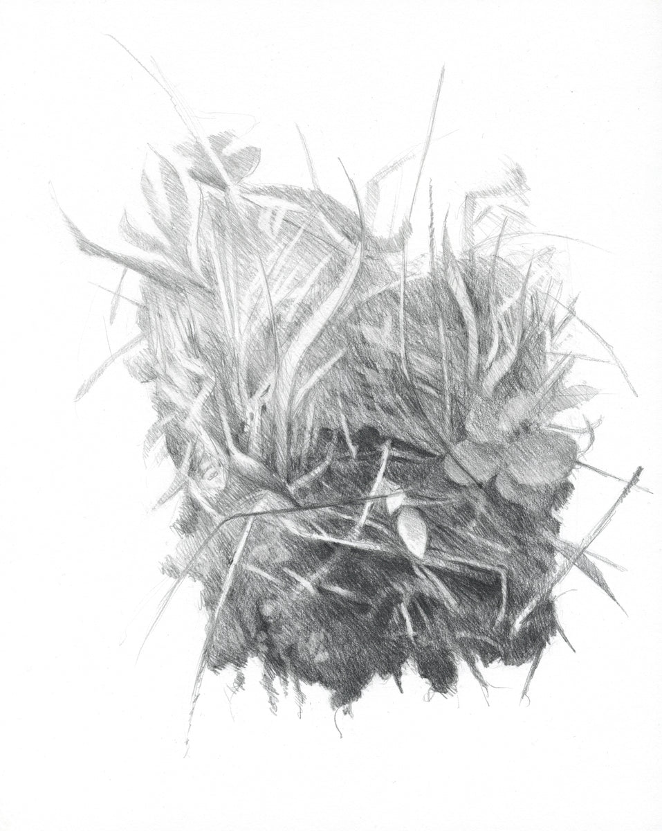 ANDREW DAILEY COLLECTION – Dana L. Wiley GALLERY