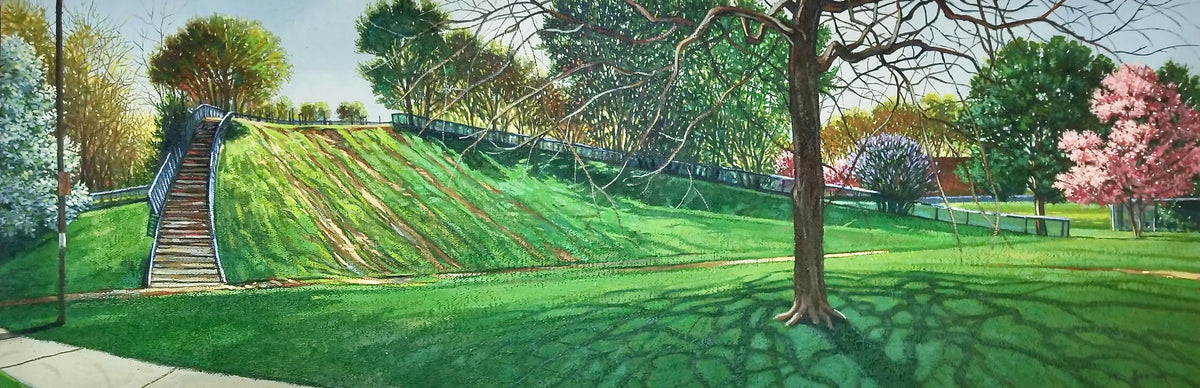 WARREN PARK SPRING – Dana L. Wiley GALLERY